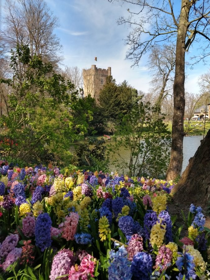 Última semana para ver a Floralia Brussels 2021 | Receita de Viagem